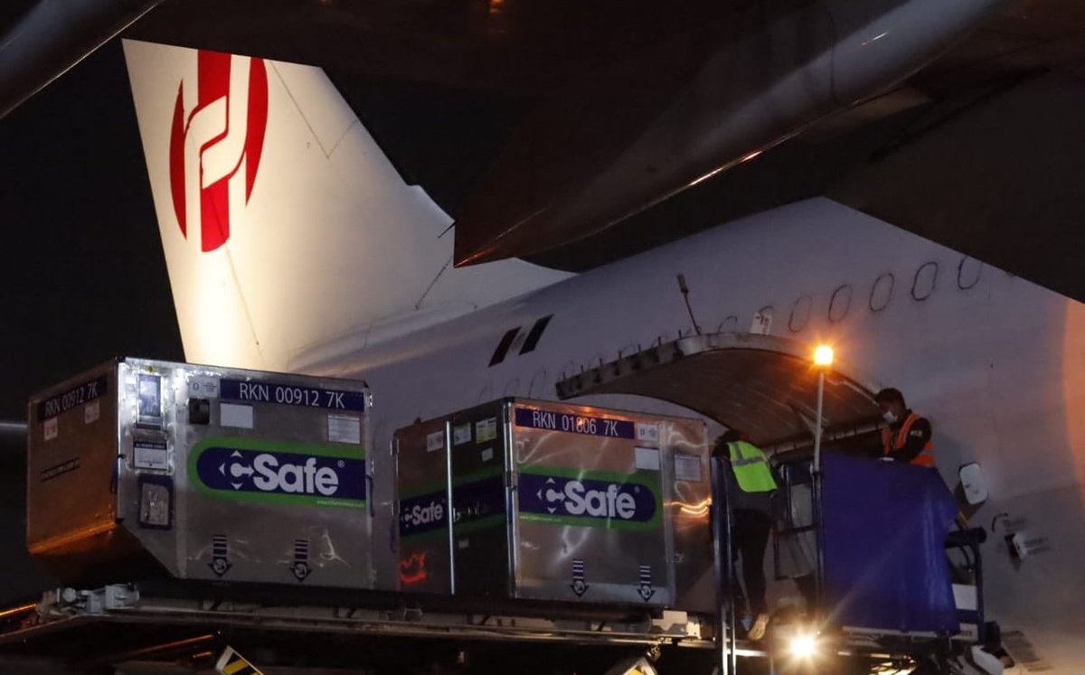 AstraZeneca. México recibe 1.8 millones de dosis contra covid-19- Grupo ...