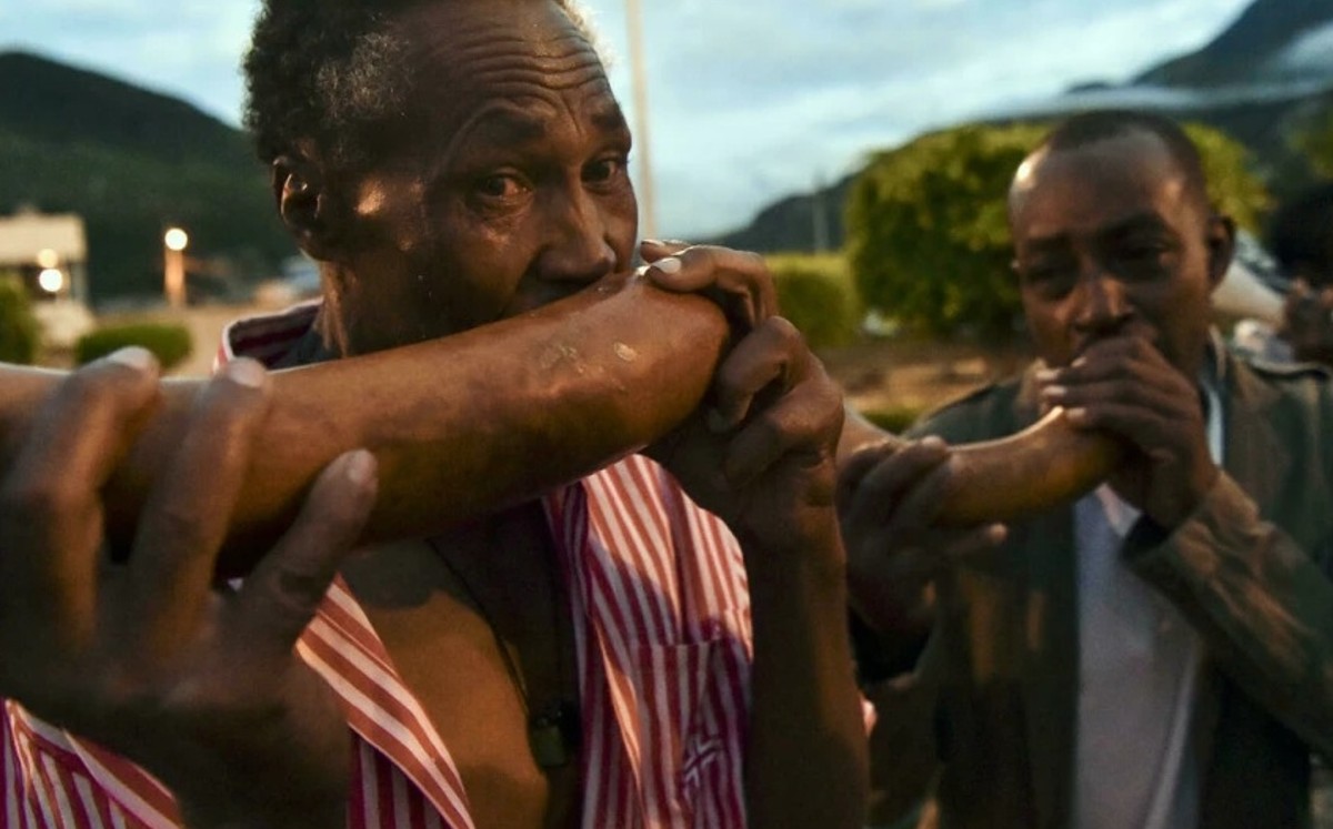 Banda Mocha, el proyecto musical que utiliza hojas como instrumentos ...