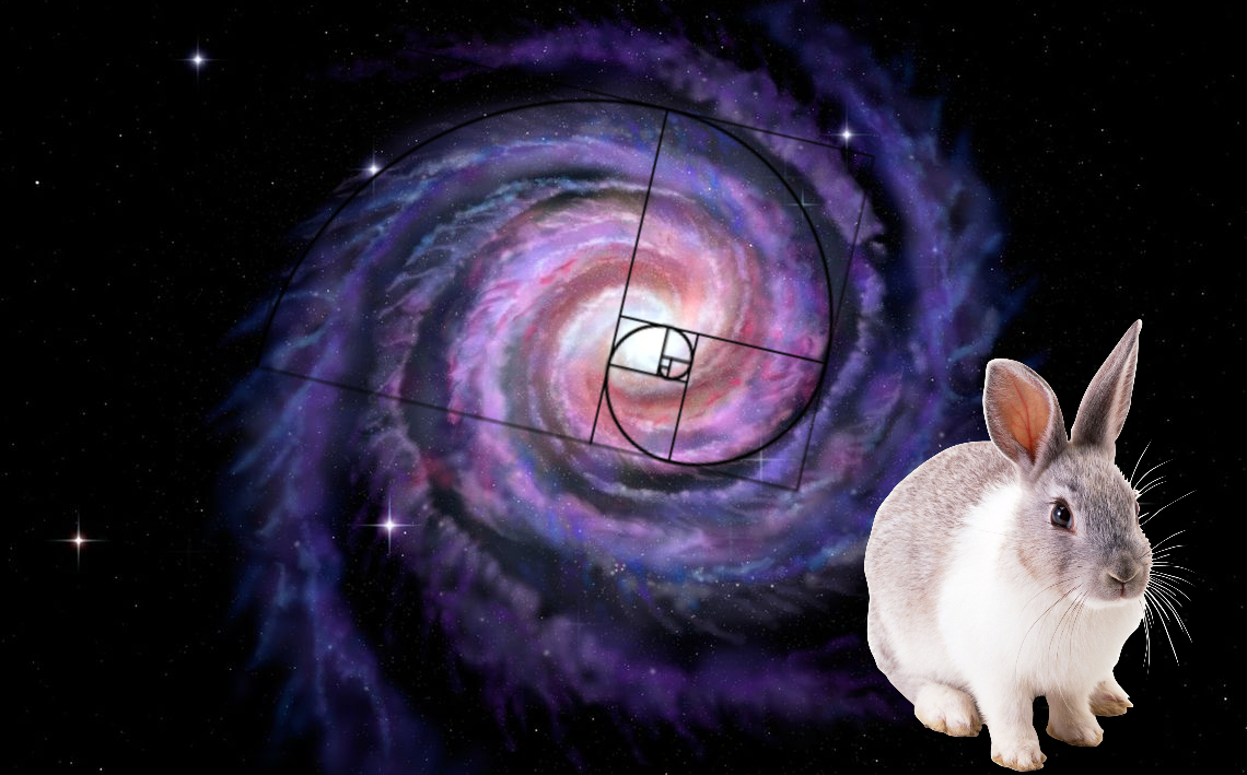 Sucesión de Fibonacci: qué es y el origen de la secuencia divina ...