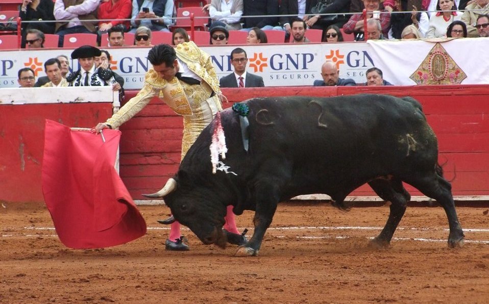 CdMx. Avanza diálogo con sector taurino sobre corridas de toros- Grupo ...