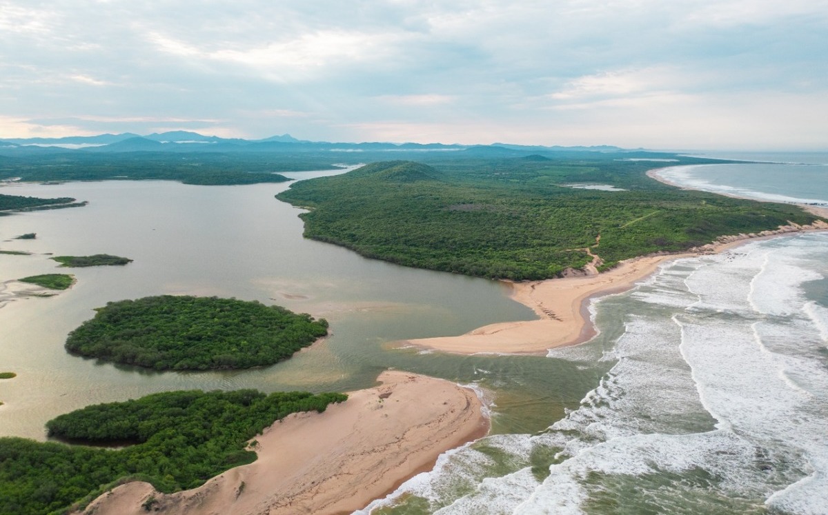 Xala: proyecto donde la conservación es prioridad- Grupo Milenio