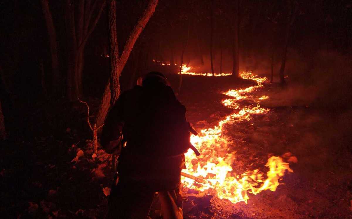 Jalisco. Incendio de bosque La Primavera afecta 280 hectáreas- Grupo ...