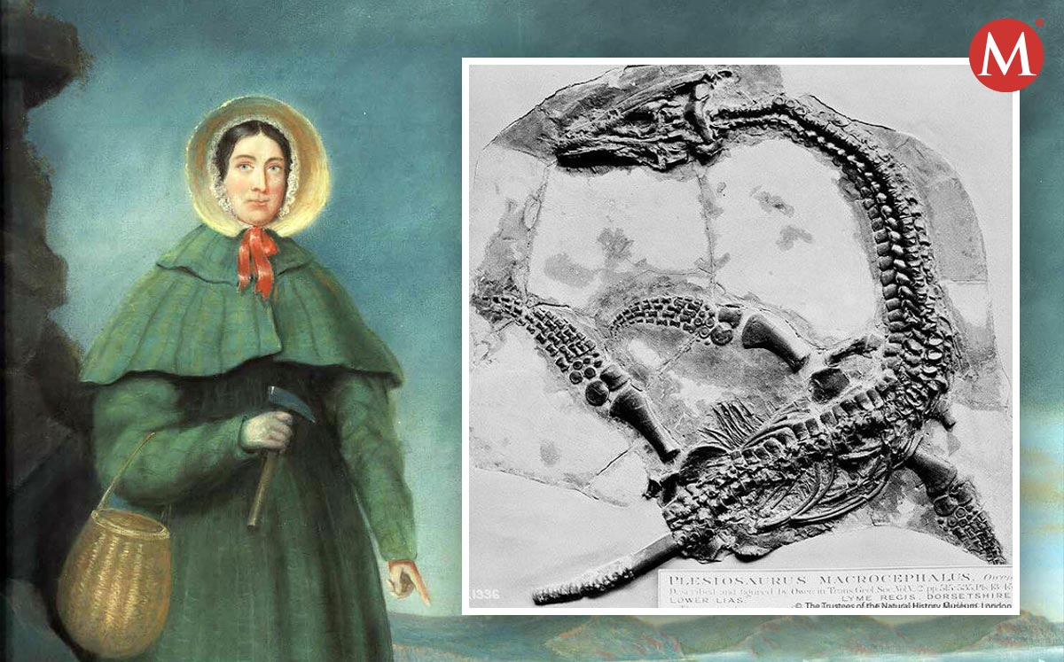 ¿Quién fue Mary Anning, la primera mujer paleontóloga?- Grupo Milenio
