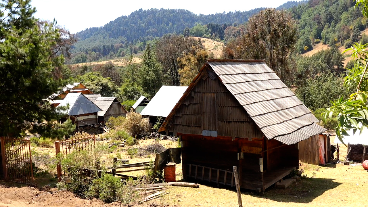 Viviendas tipo troje en Michoacán- Grupo Milenio