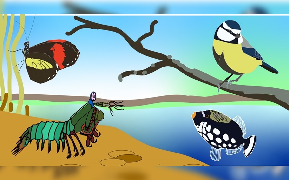 Estudio asegura que animales de tierra ven mejor que los de agua- Grupo ...