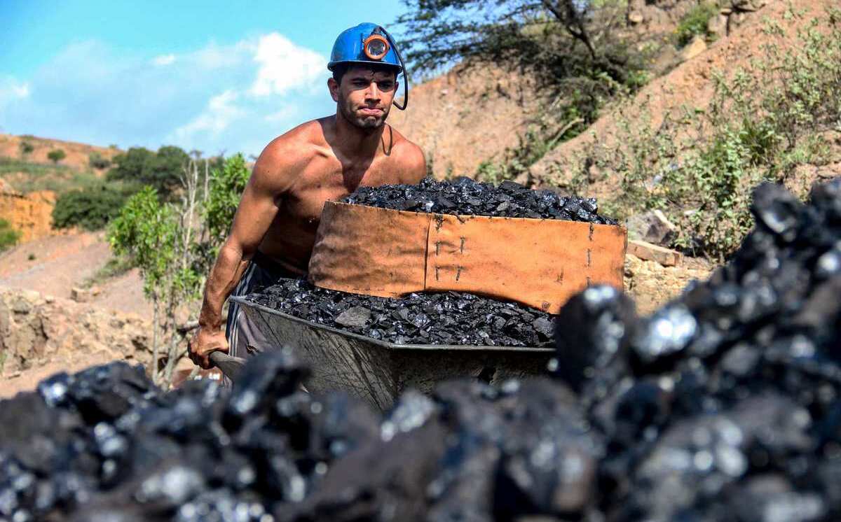 Alta demanda impulsa los precios del carbón: especialistas- Grupo Milenio
