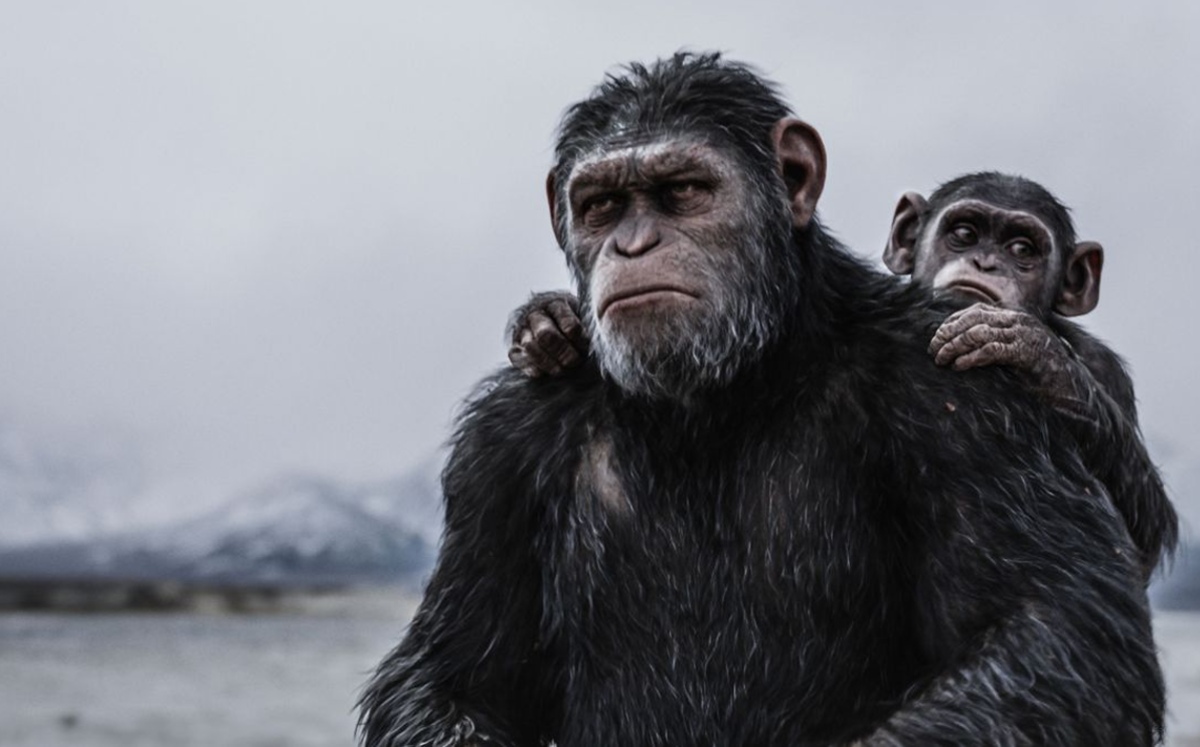 El Planeta de los simios tendrá una cuarta película- Grupo Milenio