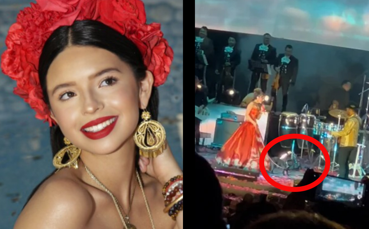 Ángela Aguilar. Perrito la interrumpe en concierto; video viral- Grupo ...