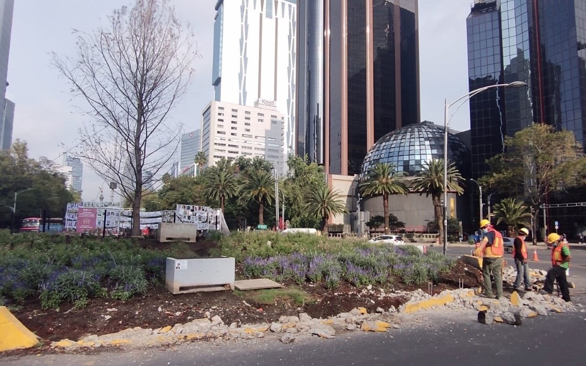 CdMx ampliará glorieta del ahuehuete en Reforma; tendrá zona peatonal ...