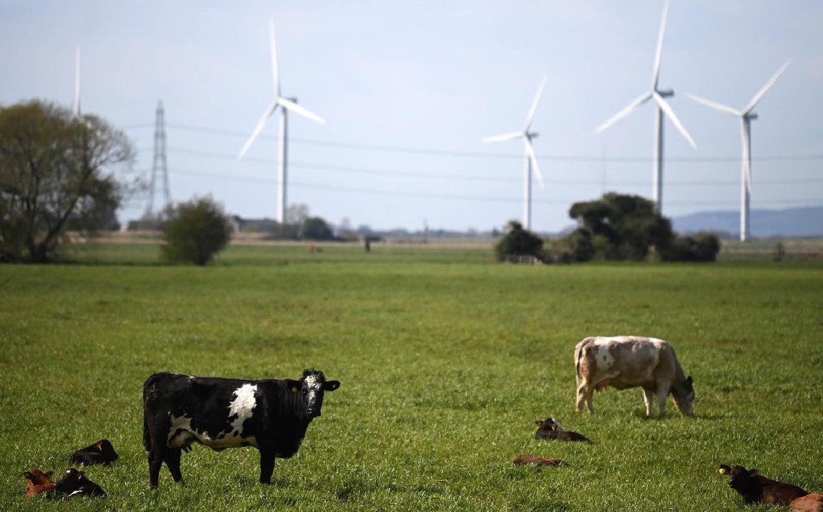 Entregan a ganaderos de Guanajuato 5 mil toneladas de rastrojo- Grupo ...