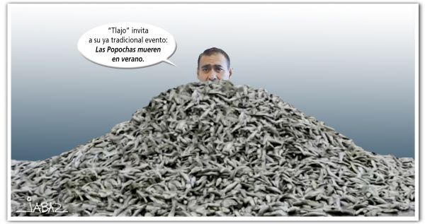 Dan tantas explicaciones, como popochas muertas- Grupo Milenio