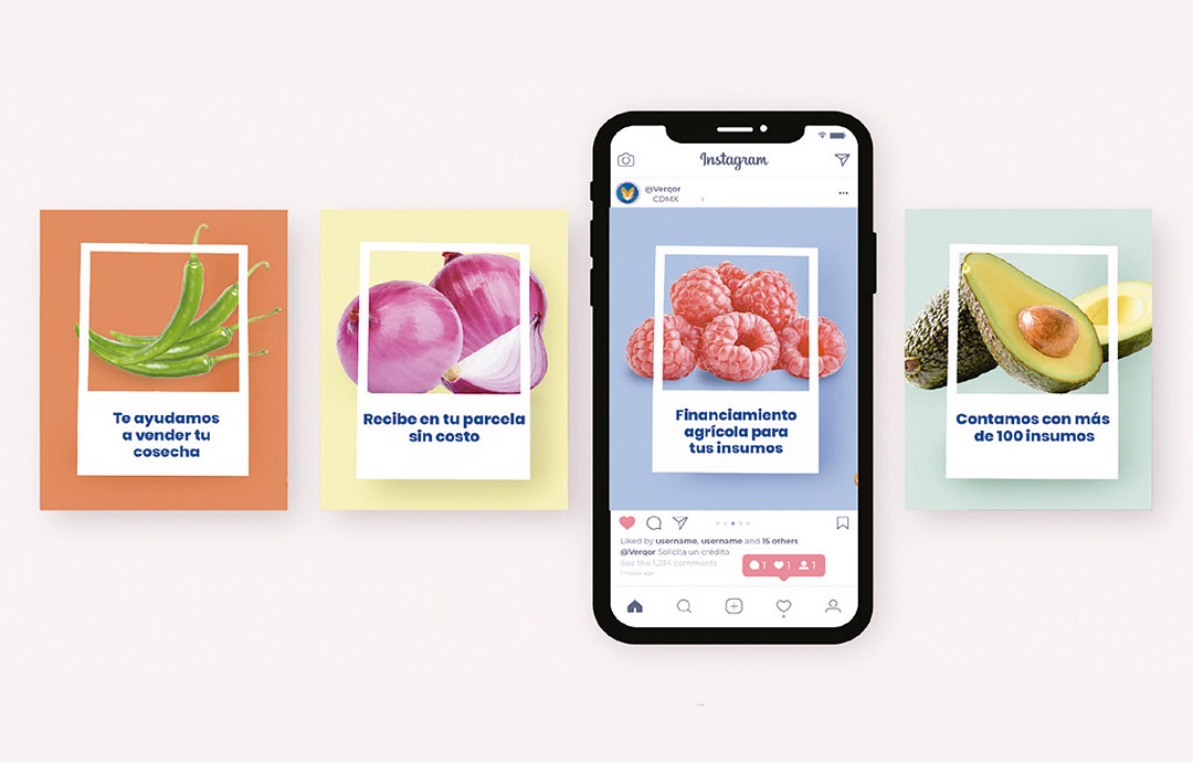 Verqor facilita créditos seguros para productores del campo mexicano ...