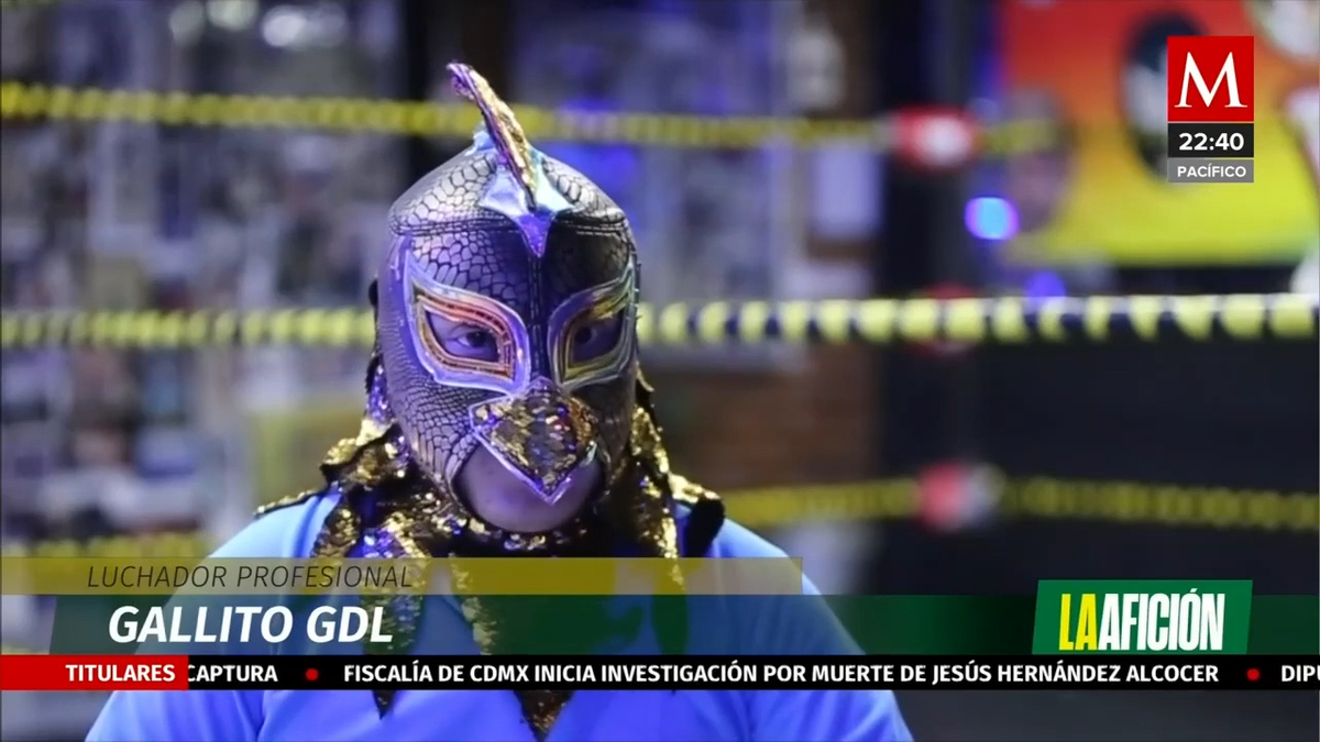 El Gallito GDL | La otra visión del deporte - Grupo Milenio