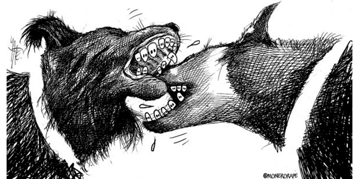 Rabiosos- Grupo Milenio