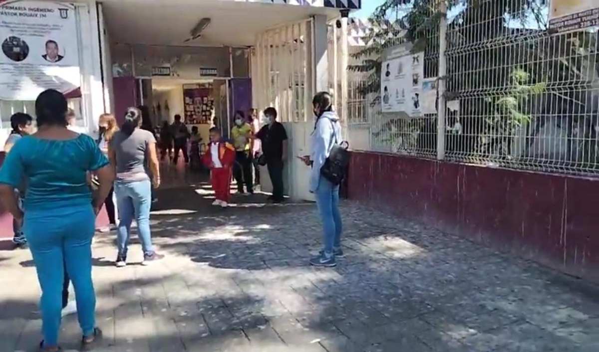 Piden acciones contra plaga de garza garrapatera en Tehuacán, Puebla ...