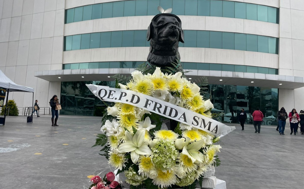 Colocan ofrenda para Frida, perrita rescatista, en Monterrey- Grupo Milenio