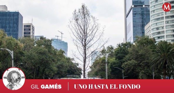 El ahuehuete ha muerto- Grupo Milenio