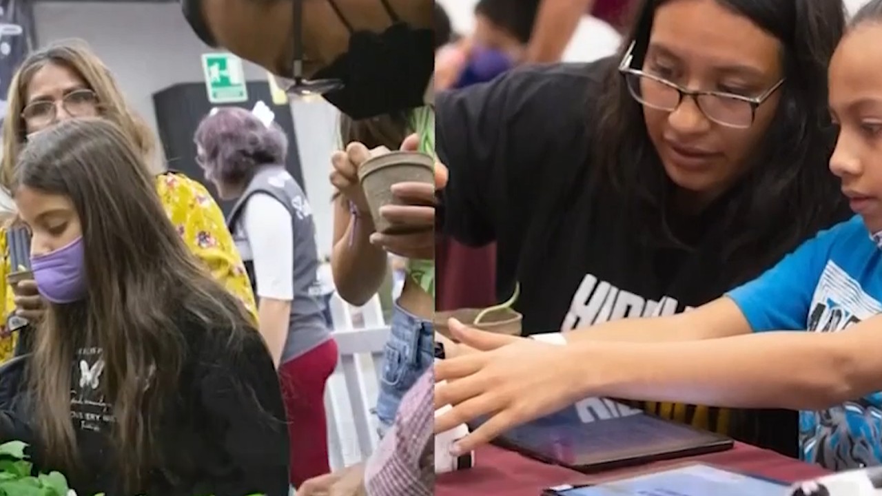 Talent Kids' llega al WTC de CdMx, ofrece a los niños experiencias ...