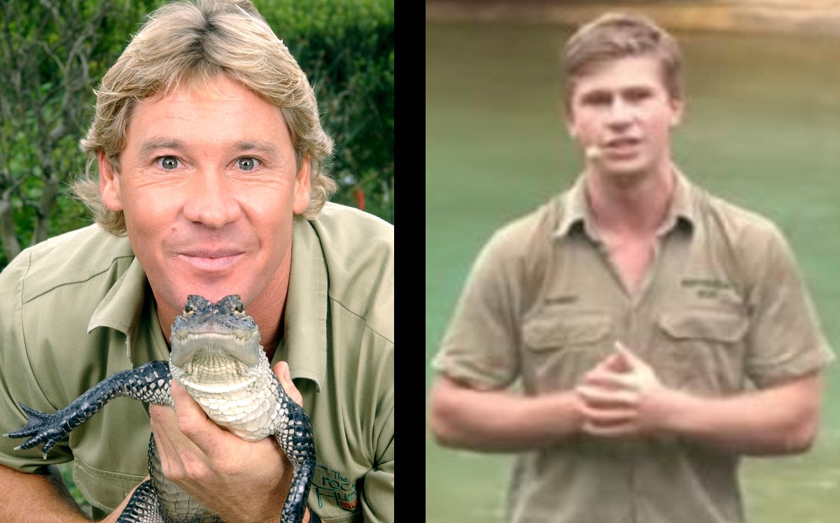 Herida De Raya De Steve Irwin Steve Irwin: New Details On Crocodile