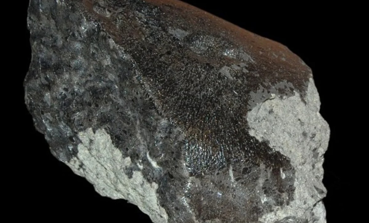 Meteorito marciano que cayó en Marruecos tiene material desconocido ...