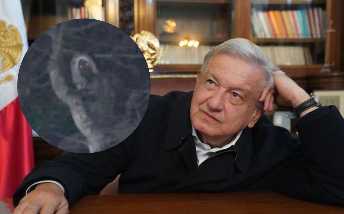 Qué es un aluxe: origen de criatura maya difundida por AMLO- Grupo Milenio