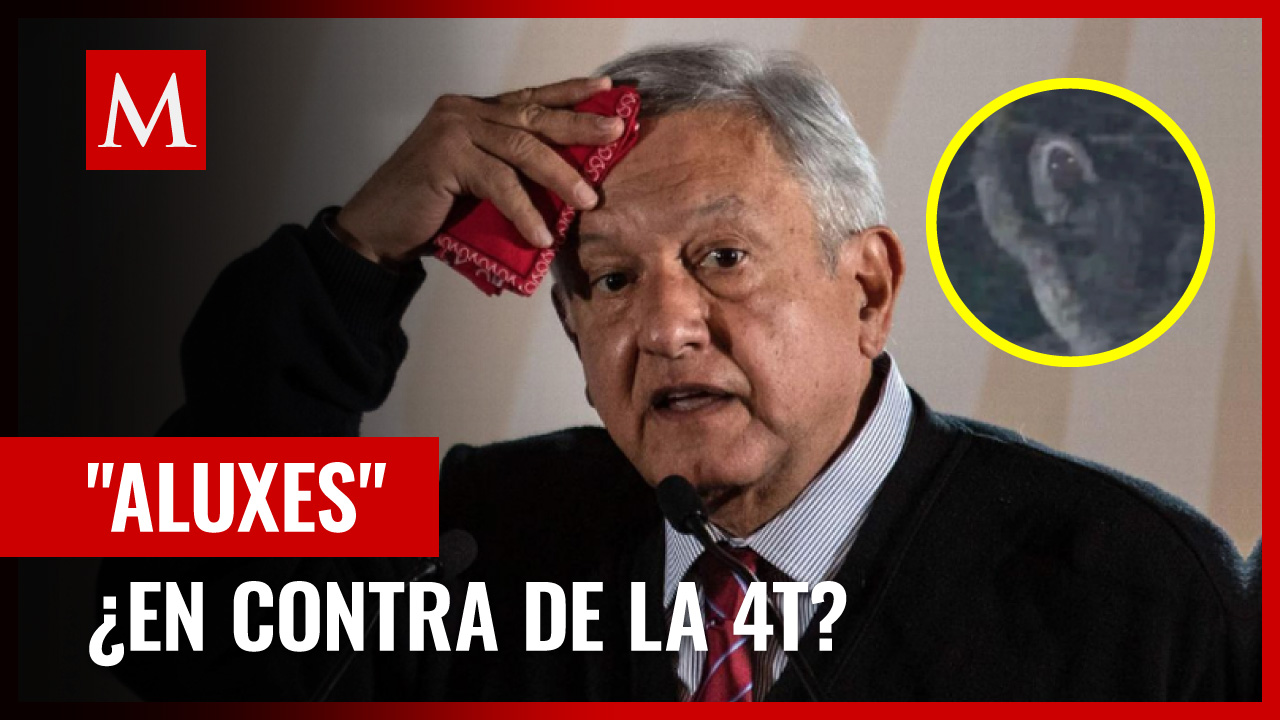 ¿Cómo se preparan los abogados en EU para interrogar a los testigos ...