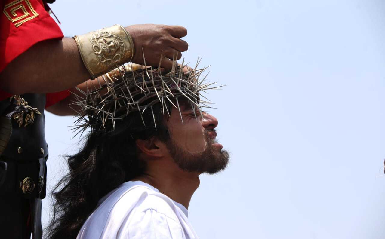 Una Corona Para Jesus Cristo Cómo Trasplantar Corona De Cristo?