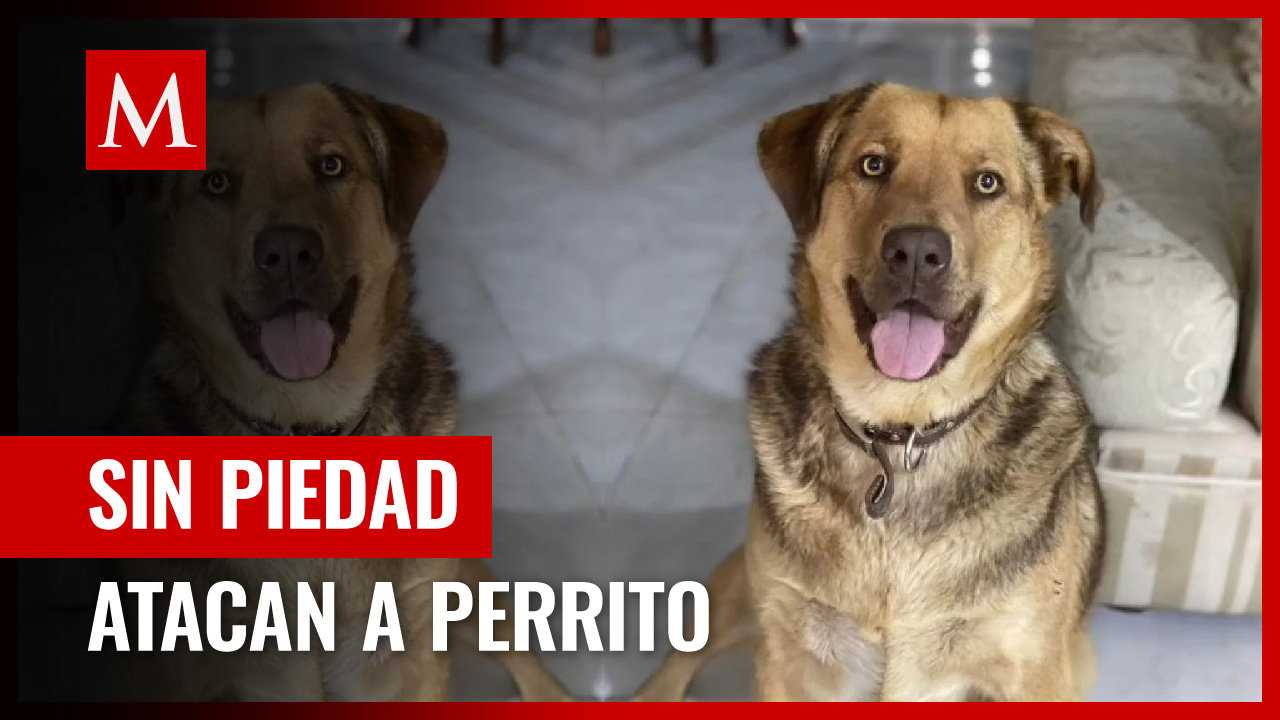 Motociclista provoca accidente vial en Cancún, hay dos lesionados ...