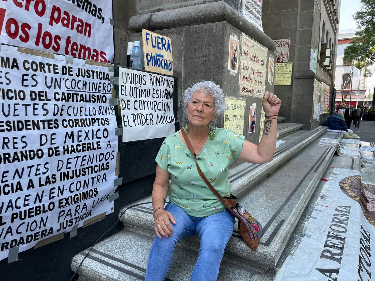 Julia Klug, la controversial simpatizante de AMLO- Grupo Milenio