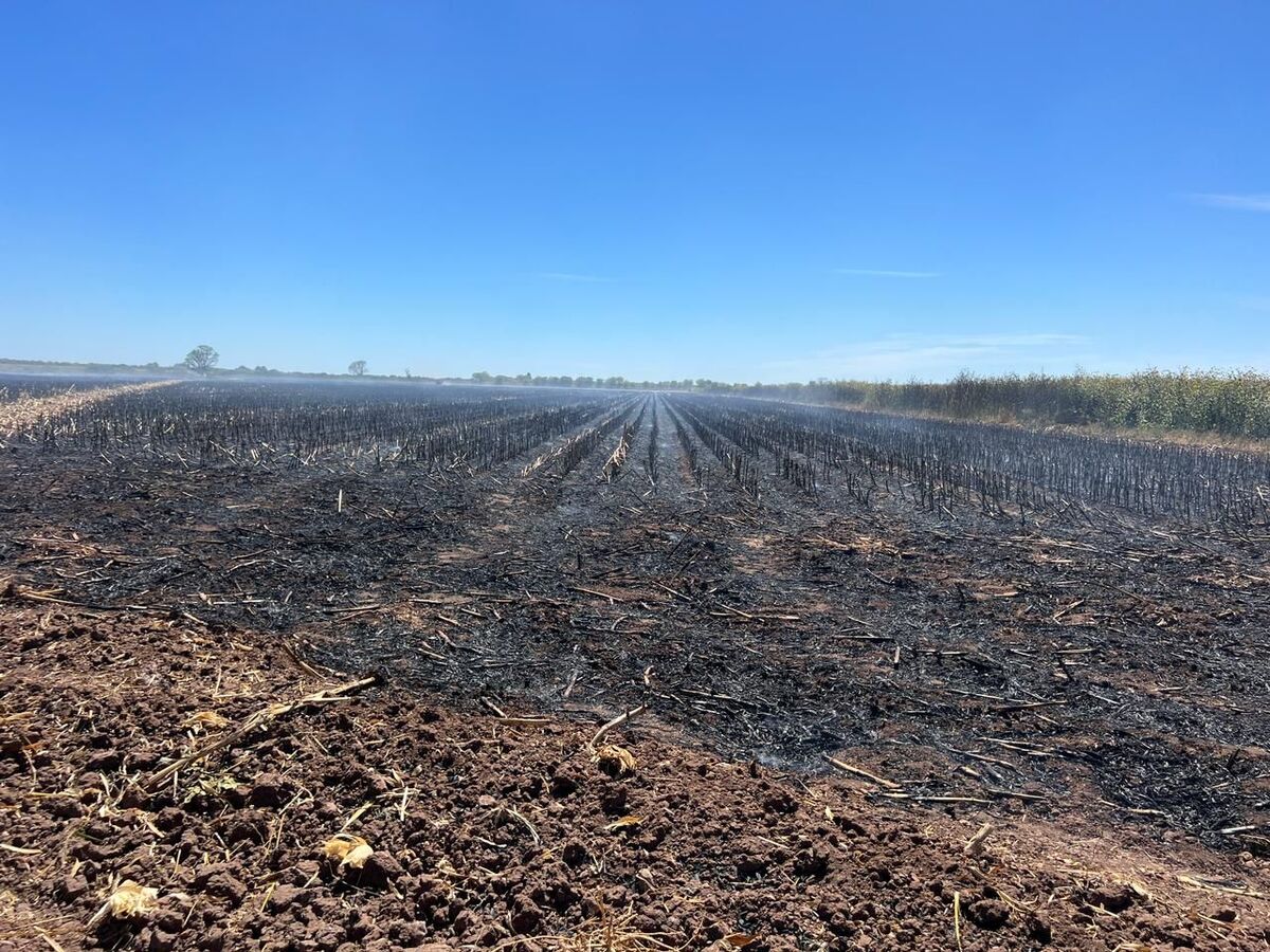 Bomberos rescatan a víctima de incendio en parcela agrícola en Sinaloa ...