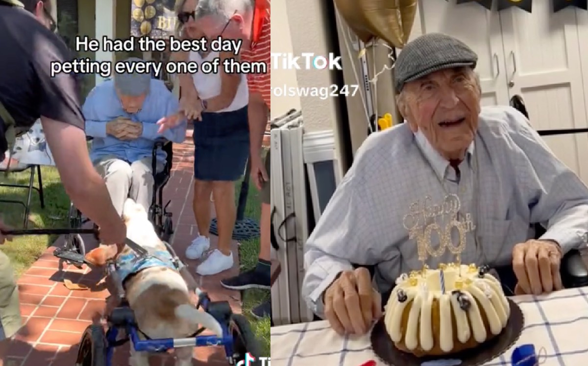 Abuelito recibe tierno desfile de perritos por su cumpleaños 100- Grupo ...