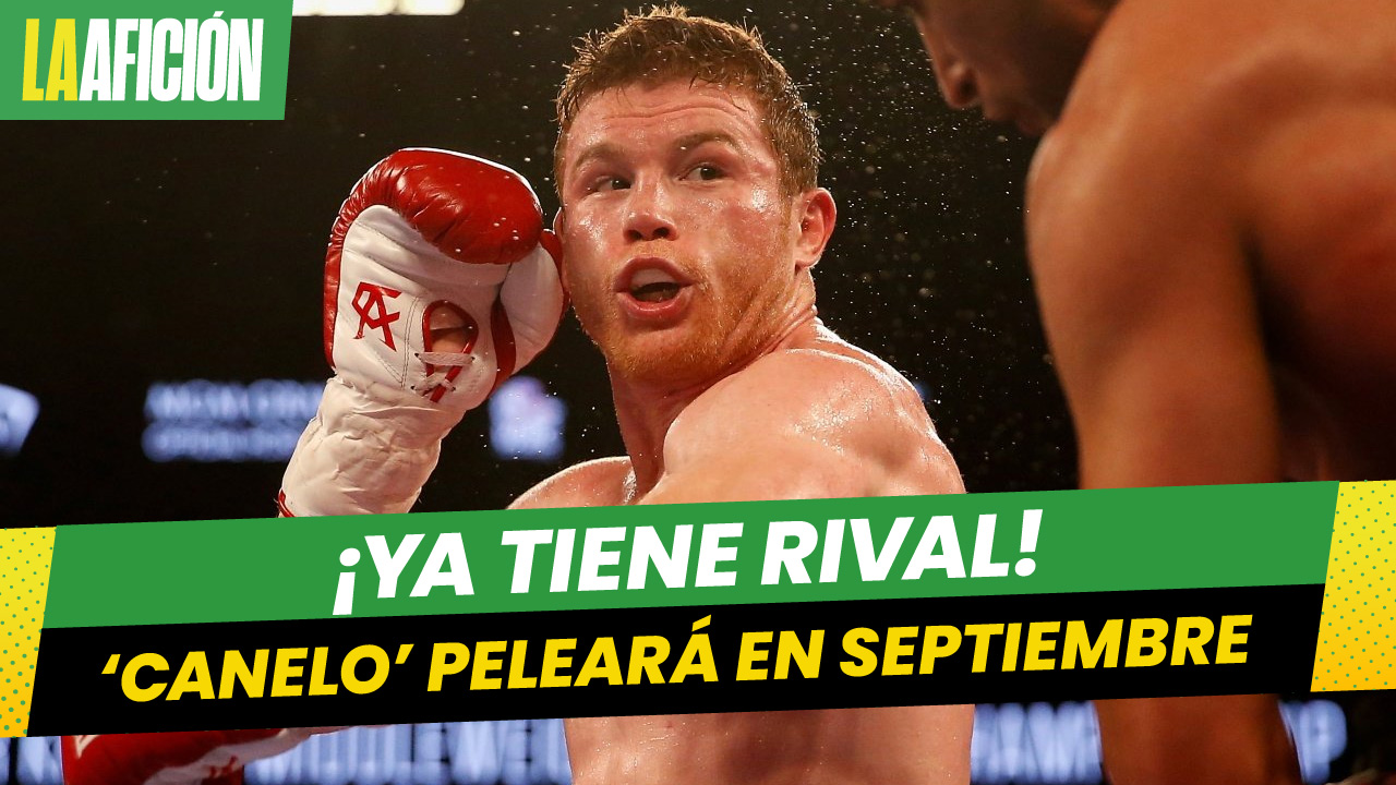 Canelo Álvarez confirma a su nuevo rival para su próxima pelea- Grupo ...