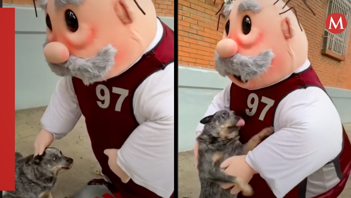 Viral.Perrito conoce al Dr. Simi; reacción enternece en TikTok |VIDEO ...