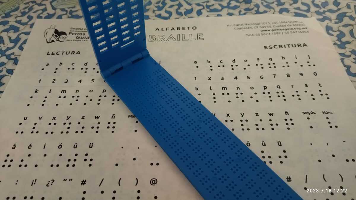 Qué Hacen Los Perros Guía Para Los Ciegos