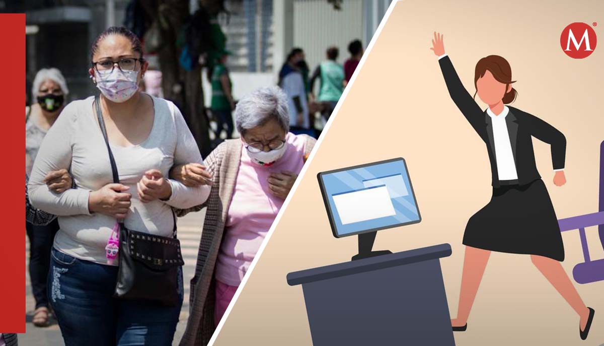 DAX lanza vacante para mujeres en Tijuana y Sonora | Requisitos- Grupo ...