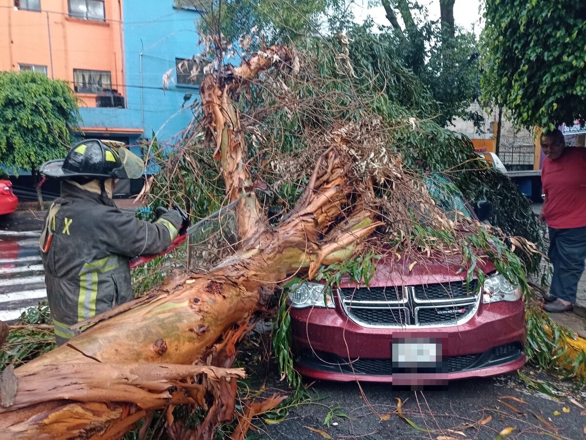 Inundaciones y árboles caídos: afectaciones por lluvias en CdMx hoy- Grupo Milenio