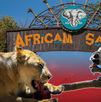 Carlos Camacho Espíritu: Historia del fundador de Africam Safari ...