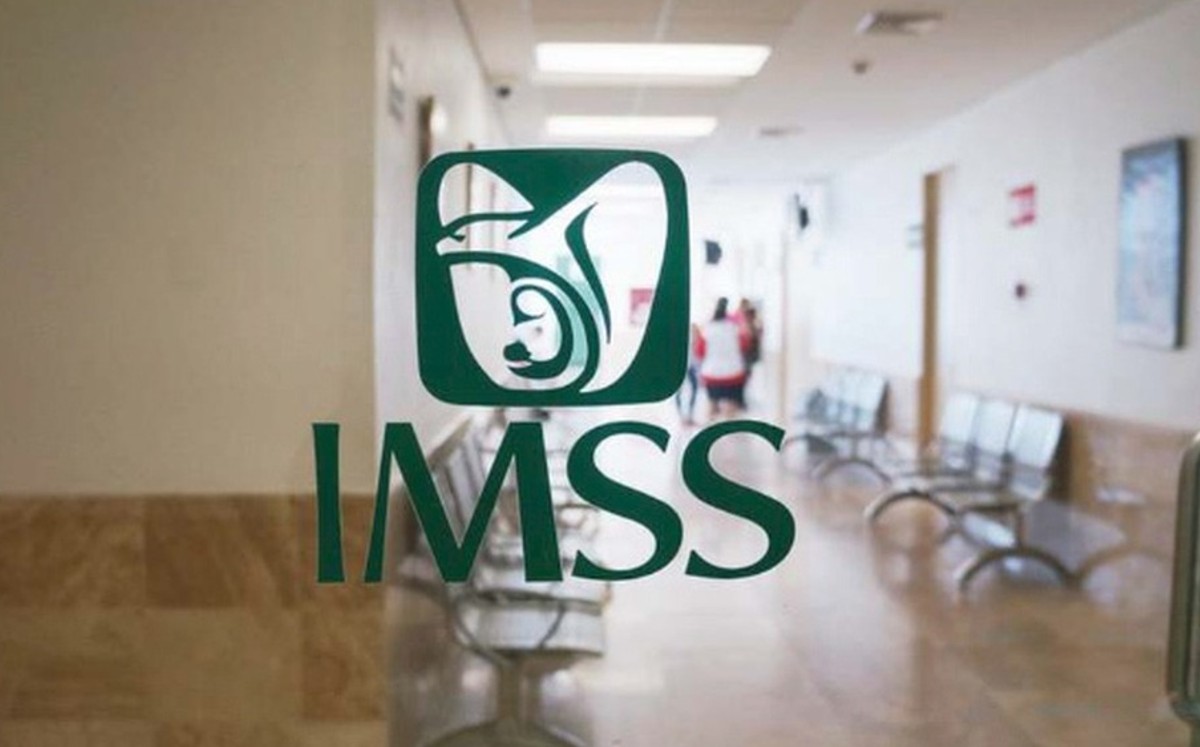 Viáticos en el IMSS: ¿Qué son y cómo puedo solicitarlos?- Grupo Milenio