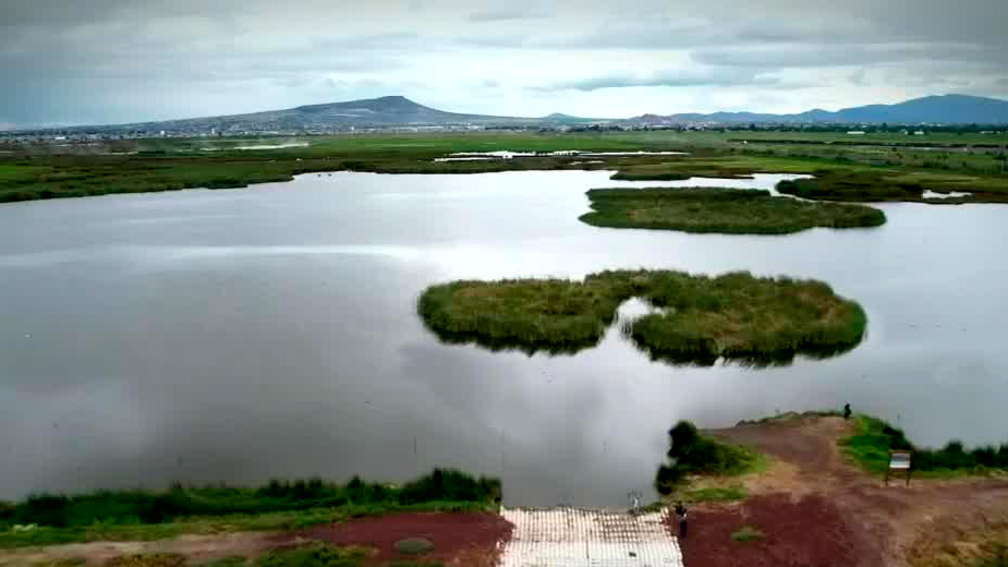 Así es como se busca preservar las áreas del Lago de Texcoco- Grupo Milenio