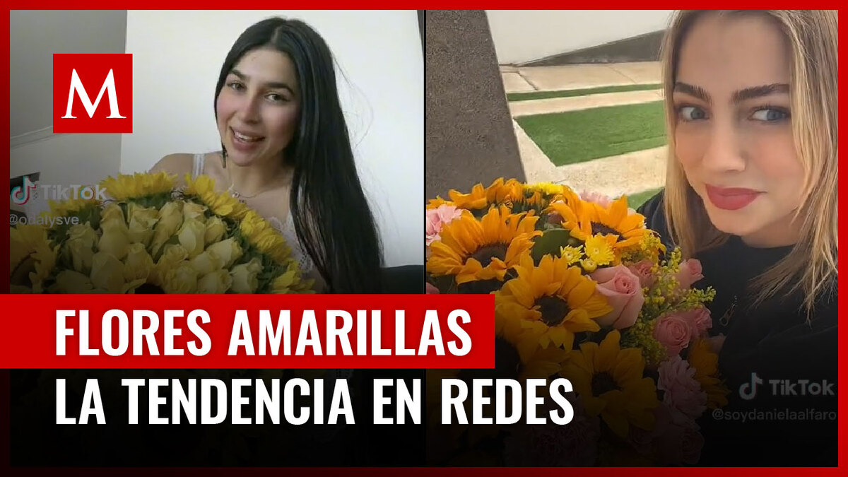 La tendencia de regalar flores amarillas en septiembre en redes- Grupo ...