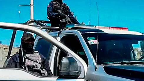 Llega el nuevo árbol de ahuehuete a la CdMx - Grupo Milenio