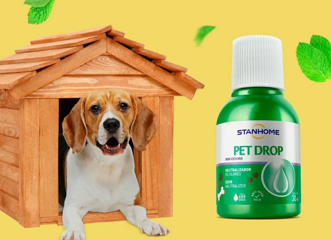 Cuidar la higiene de las mascotas; tips para su salud- Grupo Milenio