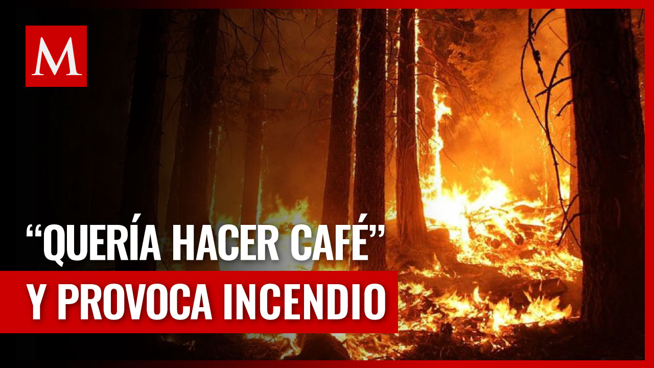 Incendio Provocado en Argentina: Hombre Desata Emergencia con Fogata ...