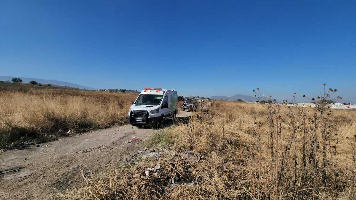 Feminicidio Tlajomulco: Abandonan en brecha cuerpo de mujer- Grupo Milenio