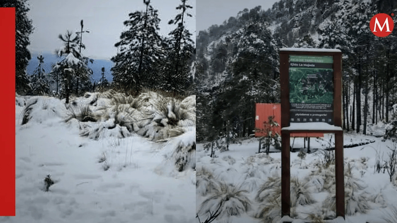 Cerro de Tancítaro se cubre de nieve por Frente Frío 19 en Michoacán ...