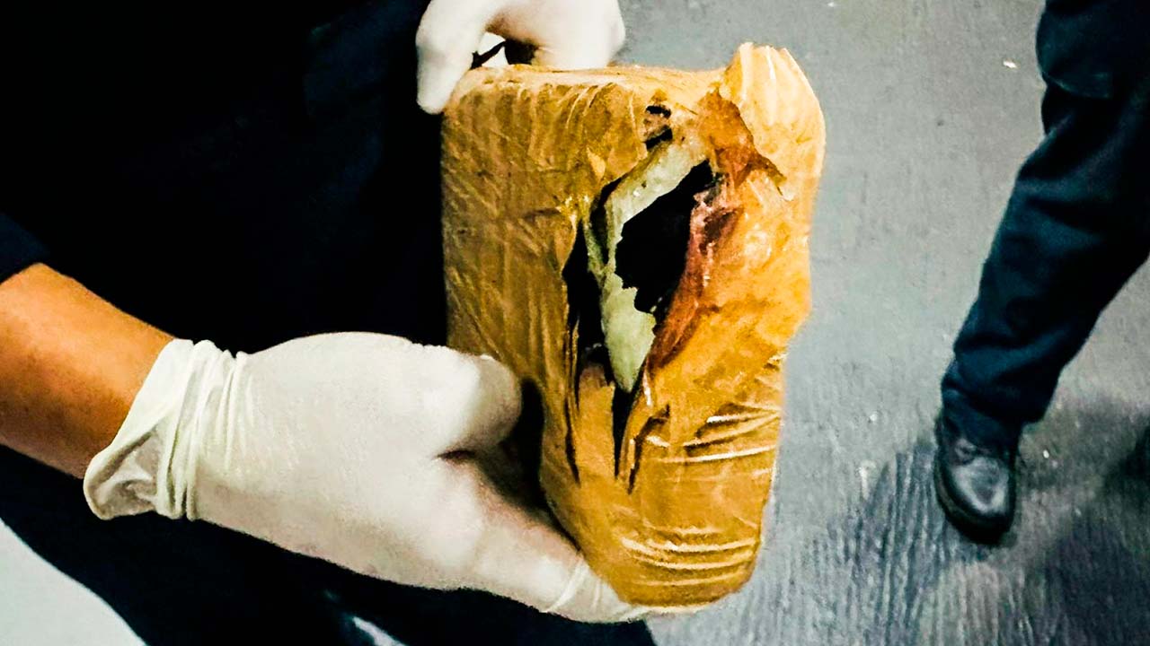 Decomisan Más De 4 Toneladas De Droga En Guanajuato Grupo Milenio