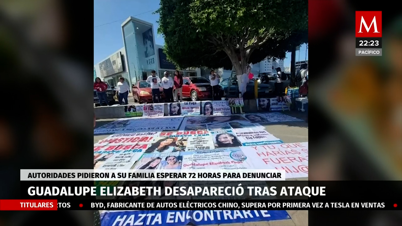 El caso no resuelto de Guadalupe Elizabeth Puga- Grupo Milenio