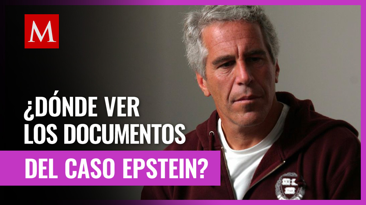 ¿Dónde encontrar los documentos desclasificados de Jeffrey Epstein ...