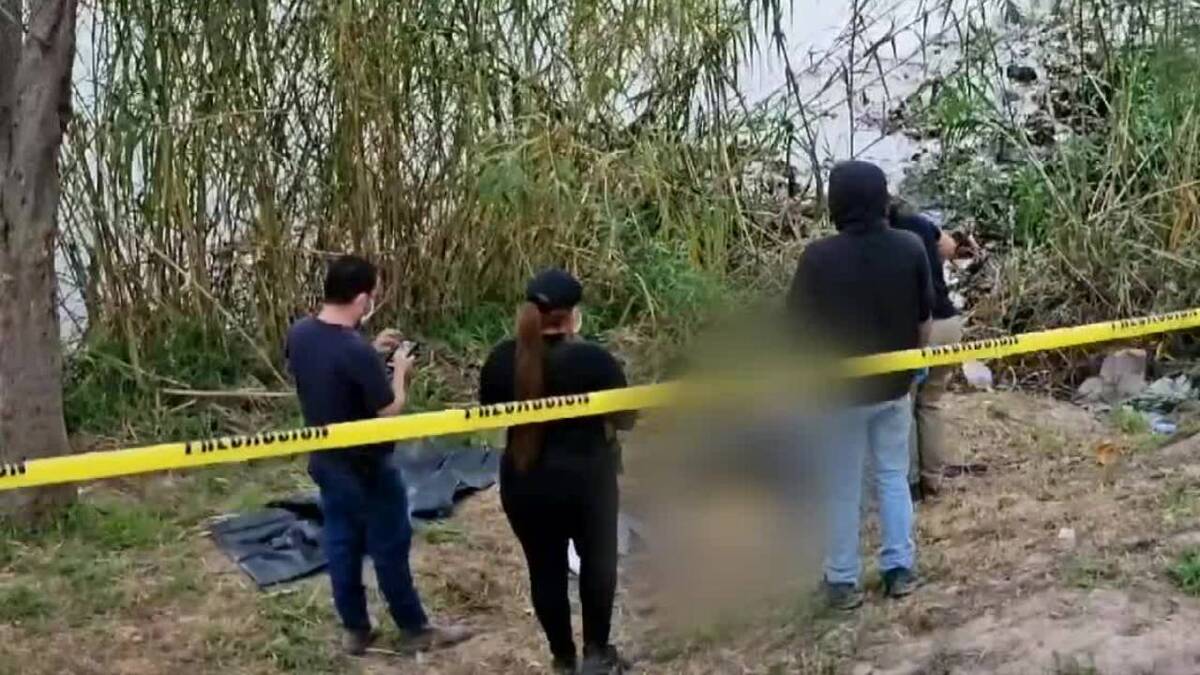 Noticias de Matamoros en Milenio - Grupo Milenio