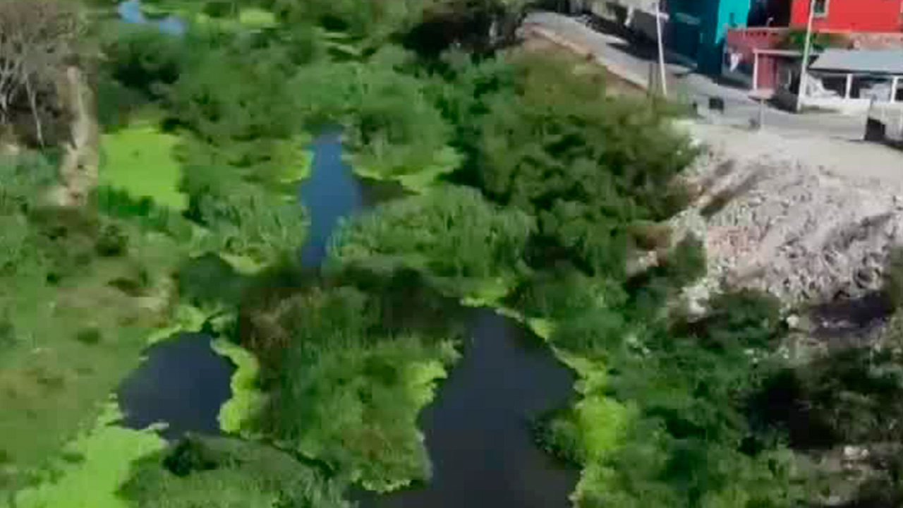 Río "Los Perros"; un riesgo para la salud de la ciudadanía en Oaxaca ...